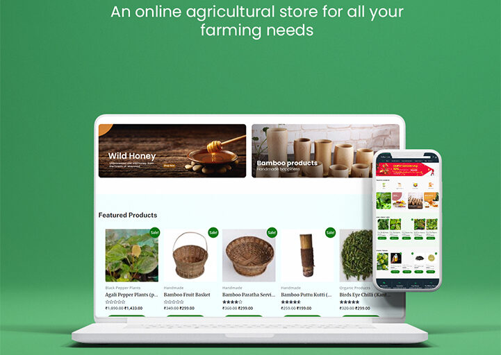 Digital Marketing Portfolio - Divisorweb