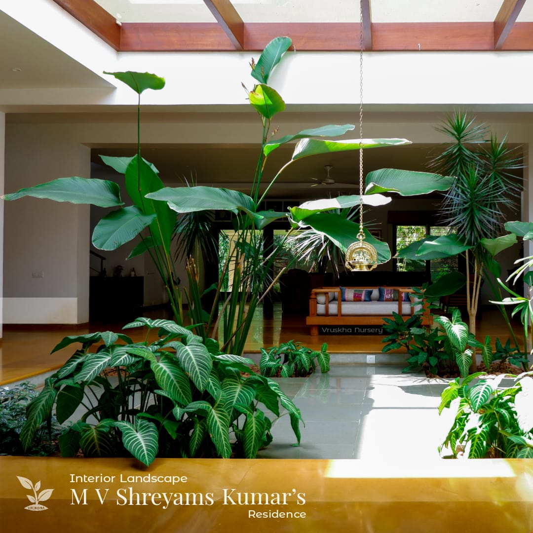 Digital Marketing Portfolio – Divisorweb